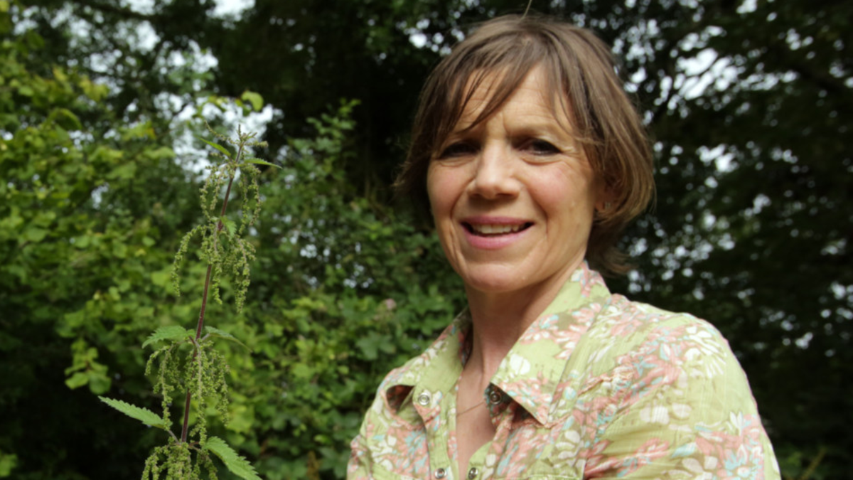 the-northern-ireland-woman-whose-home-made-nettle-tea-is-providing